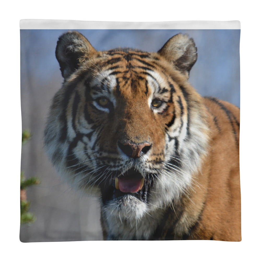 Tiger Dimitri Square Pillow Case only – crazy4bigcats